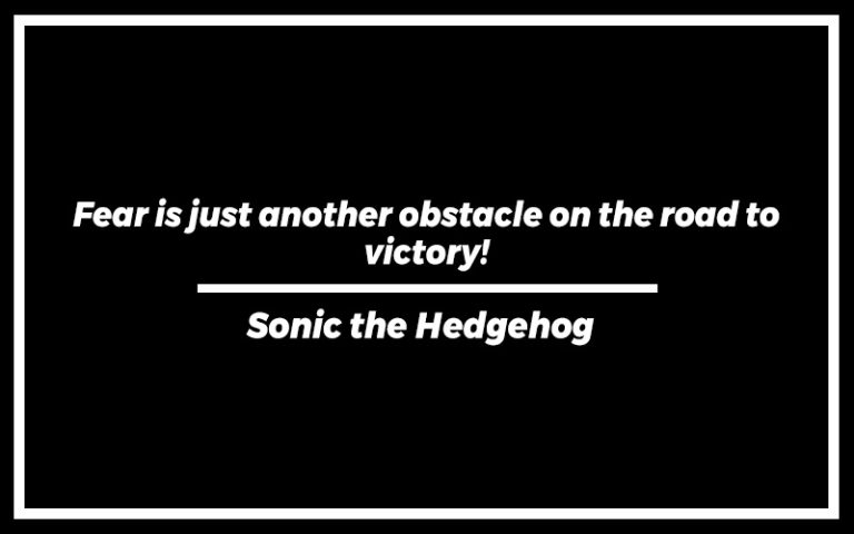 171 Best Sonic Quotes (with Explanation) - Signatures Of Success